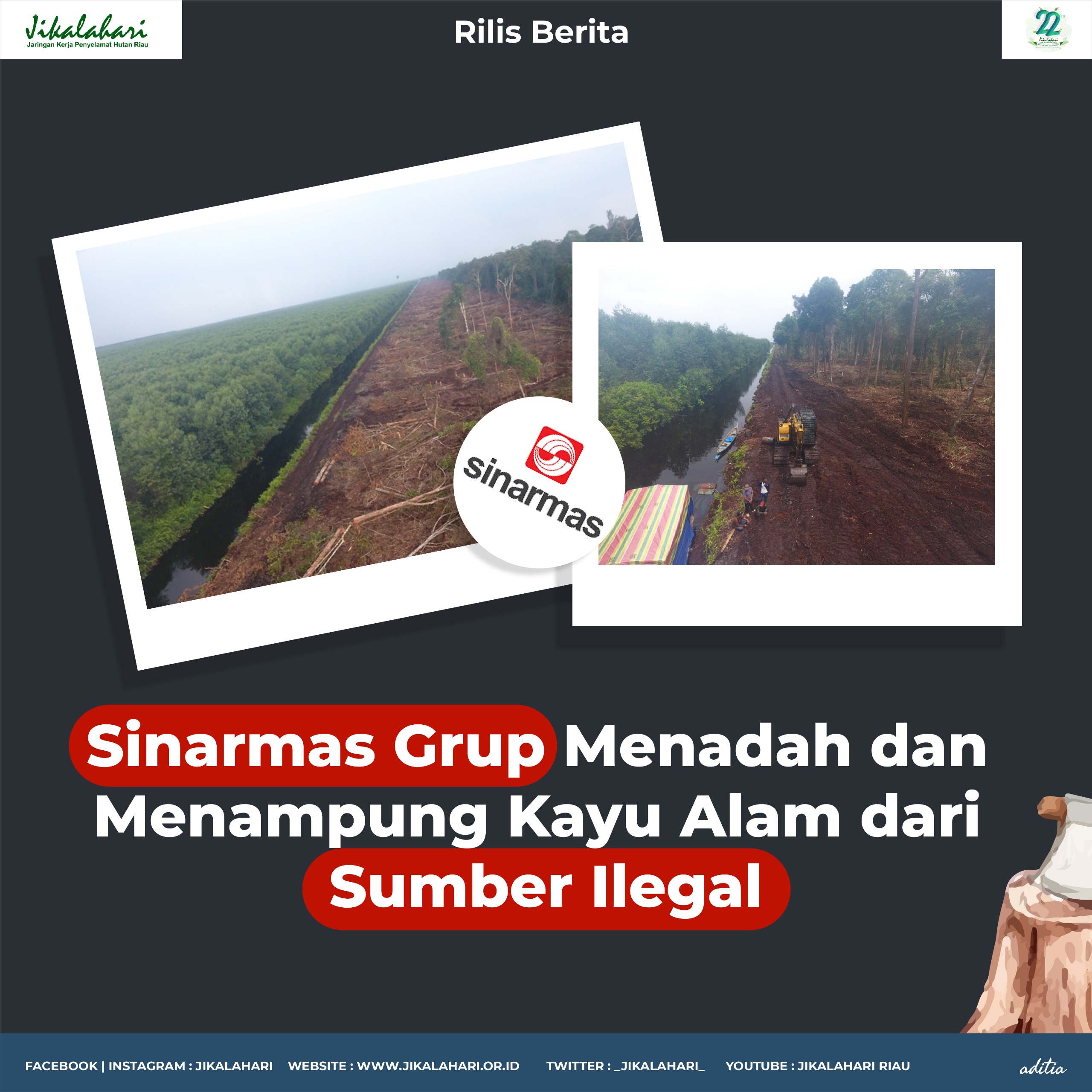 Sinarmas Grup Menadah dan Menampung Kayu Alam dari Sumber Ilegal ...