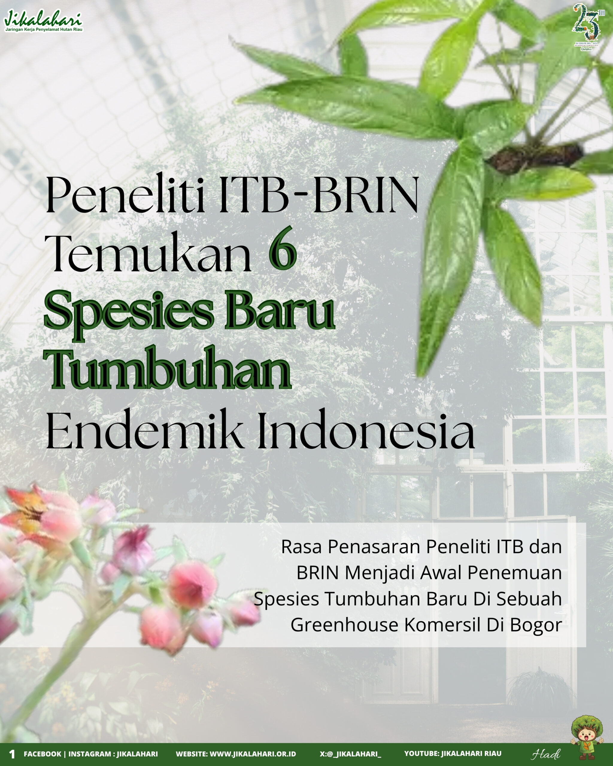 Peneliti ITB-BRIN Menemukan 6 Spesies Baru Tumbuhan Endemik Indonesia ...