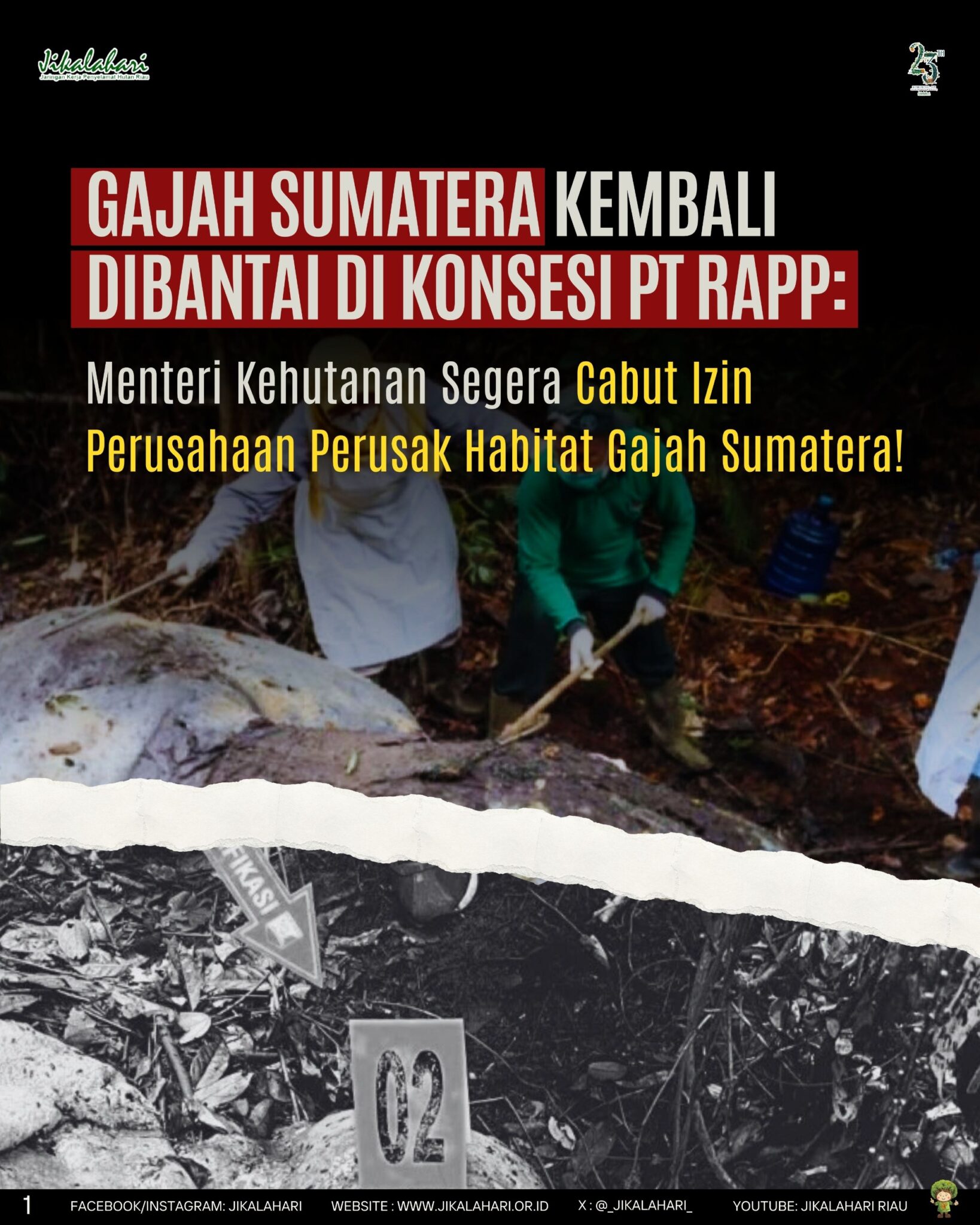 Gajah Sumatera Kembali Dibantai di Konsesi PT RAPP: Menteri Kehutanan ...